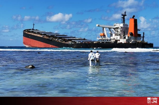 5 ans après le Wakashio : la nature se relève toujours, mais cela prend ...