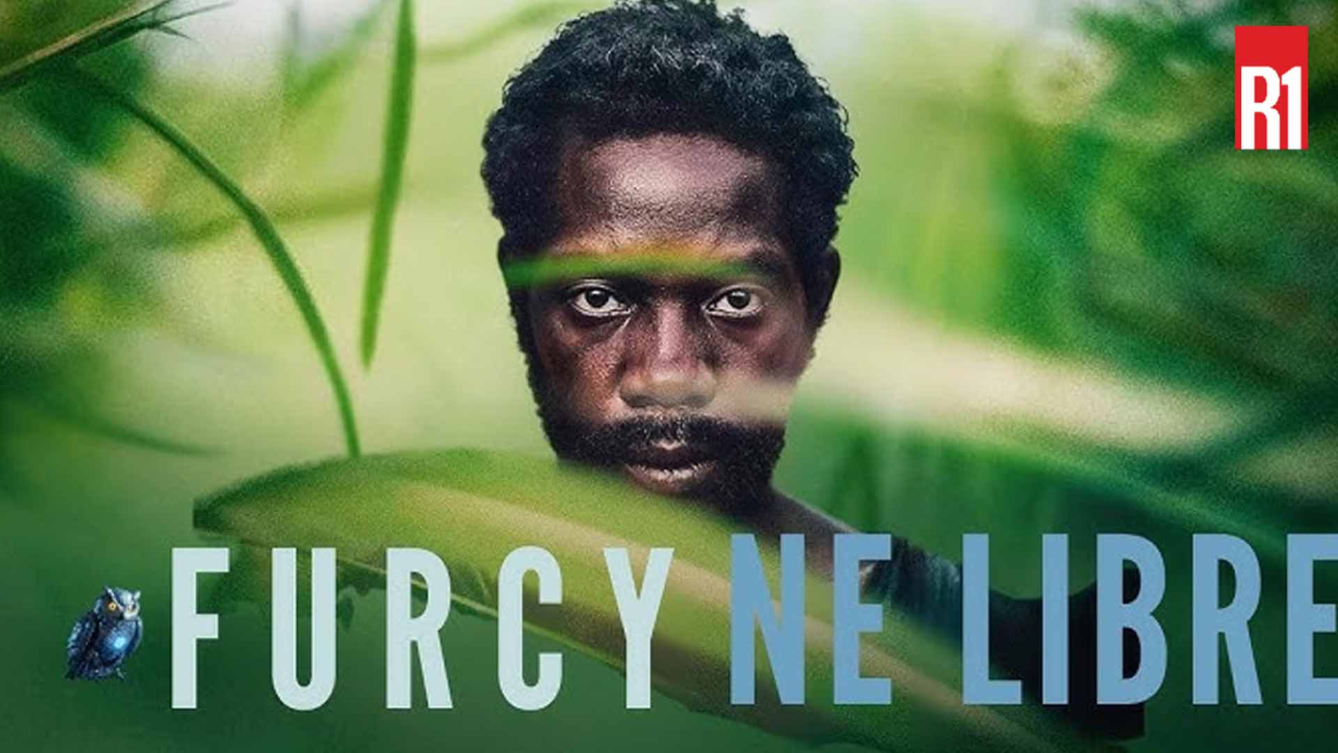 Culture : "Furcy, né libre..." projeté gratuitement le 10, 11 et 15 ...